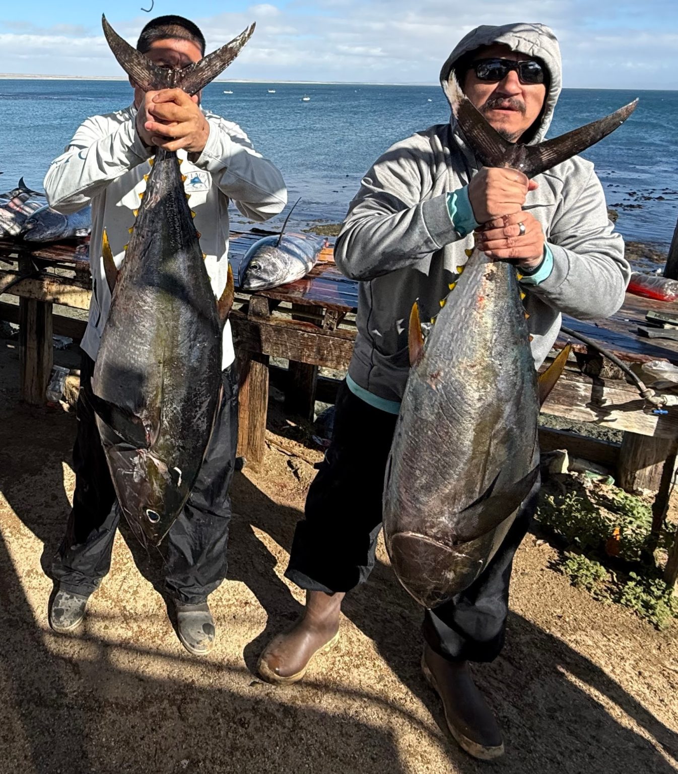 FISHING REPORTS – Bahia Asuncion